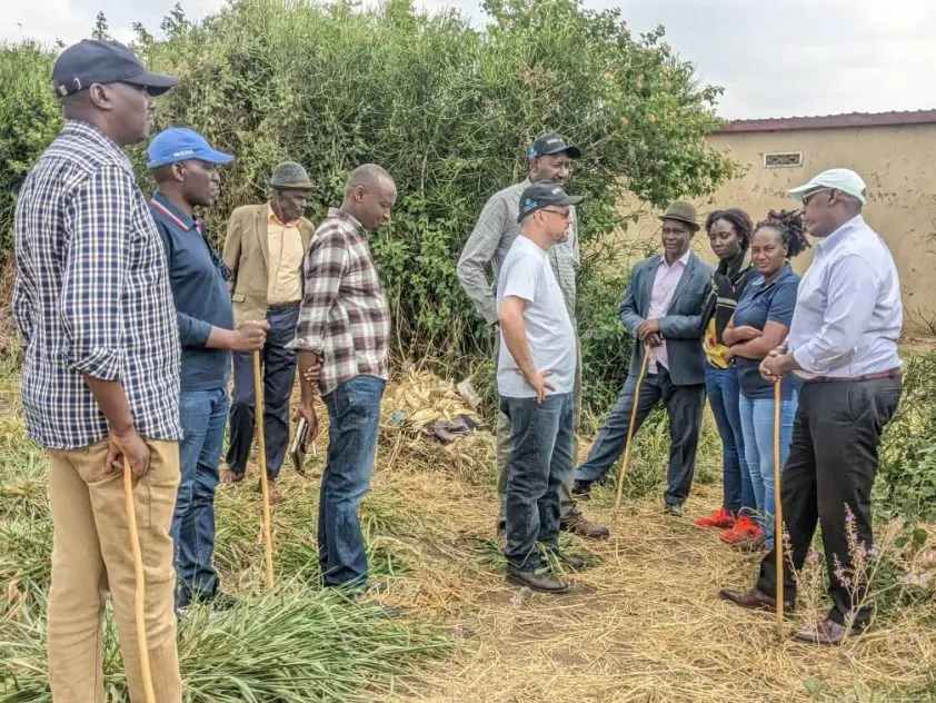 Agri-Youth Employment Project (AYE) | Kilimo Trust