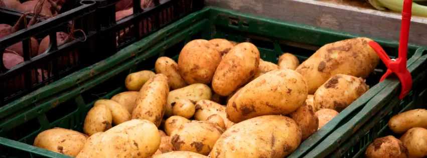 Potato Demand and Value Chain in Tanzania SAGCOT Integrated | Kilimo Trust