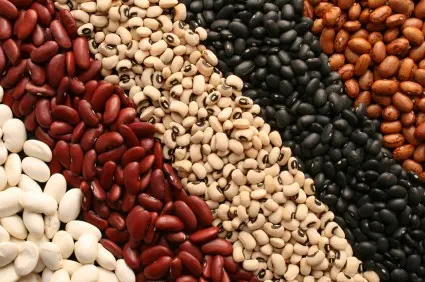 An Exploratory Study of the Dry Beans Market in Uganda and Burundi ...