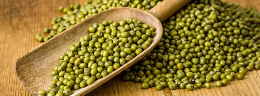 Characteristics of Green Grams End Markets in EAC | Kilimo Trust