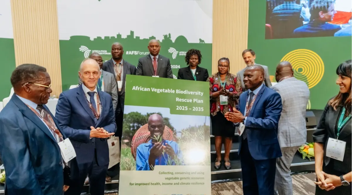 $12m needed annually to save endangered African vegetables | Kilimo Trust