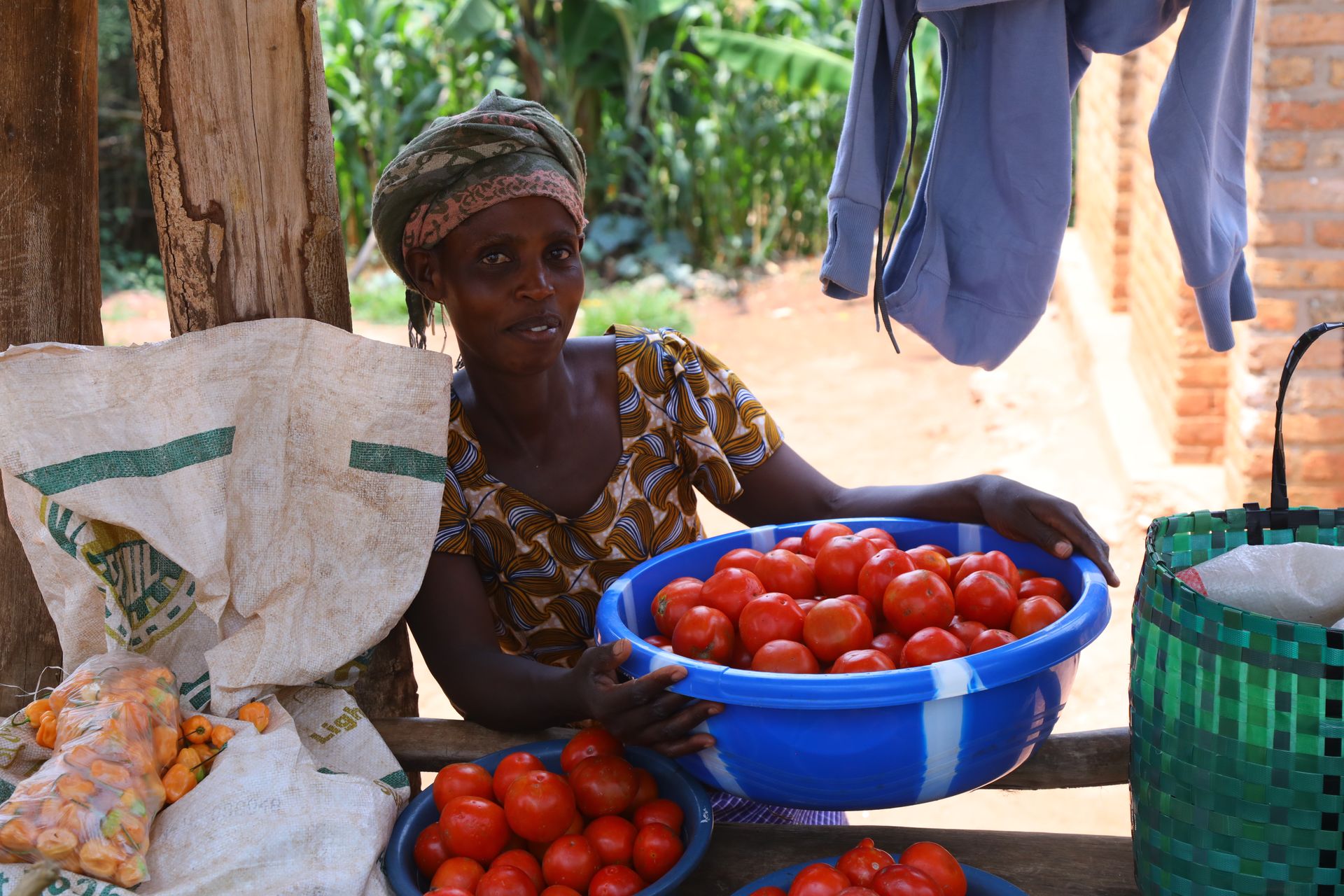 Kilimo Trust - Transforming Lives Through Agribusiness