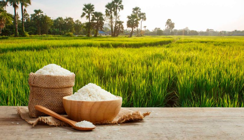 Kilimo Trust - Transforming Lives Through Agribusiness